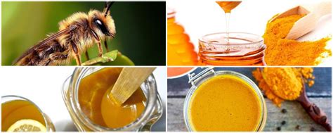 Cúrcuma Sus Propiedades y Beneficios Antiinflamatorios2019
