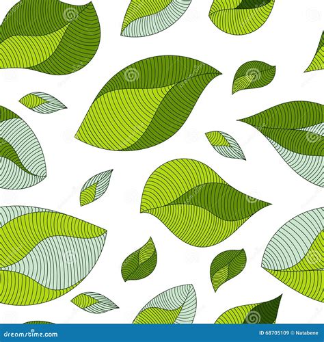 Shell With Spiral Pattern On Black Background Chambered Nautilus Nautilus Pompilius