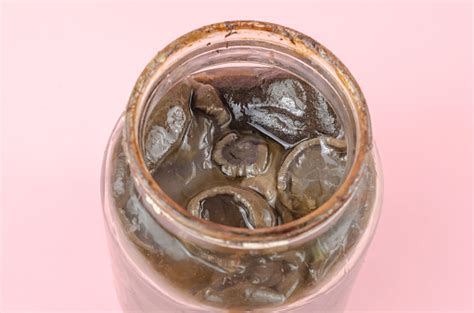 보툴리누스 중독 통조림 식품 개념에서 식중독 유리 항아리 와 0명에 대한 스톡 사진 및 기타 이미지 0명 Suillus