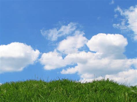 Grass Close Up And Sky Stock Image Image Of Pitch Field 314113