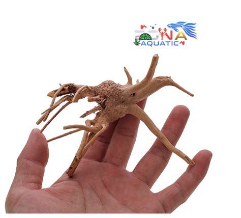 Ready Stock Aquarium Driftwood Rhododendron Root For Aquascape