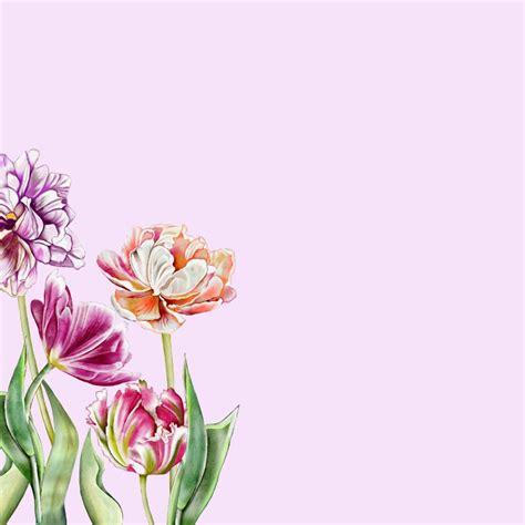 Wenskaart Gekleurde Tulpen In Aquarel Kaartje2go
