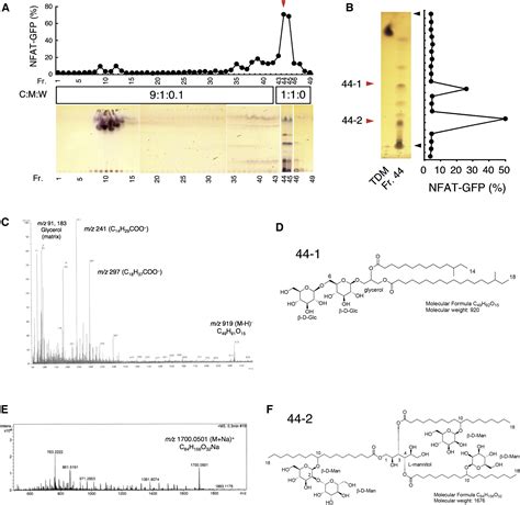 Identification Of Distinct Ligands For The C Type Lectin Receptors Mincle And Dectin 2 In The
