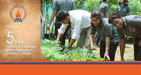 5 Key Factors To Consider When Applying To Forestry College