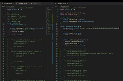 How To Coverage All Branches · Issue 2897 · Foundry Rsfoundry · Github