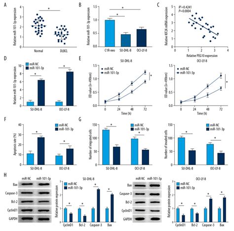 Medical Science Monitor Long Non Coding Rna Paternally Expressed