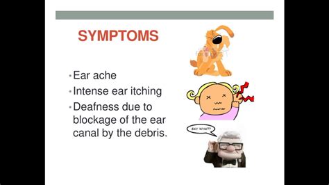 Fungal Infection Of The Ear Otomycosis Youtube