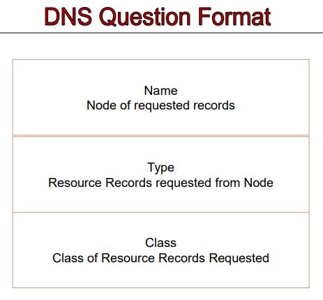 Network Protocols Semester Final Flashcards Quizlet