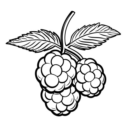 Simple Raspberry Outline Icon For Fruity Designs 45916921 Vector Art