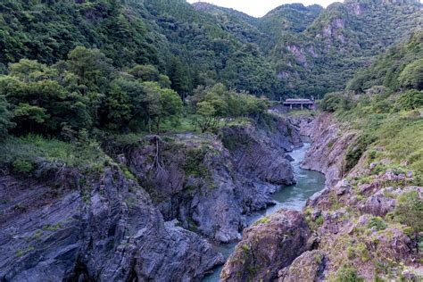 高山本線 夏の風景 飛水峡を行く いろどりの鉄道風景