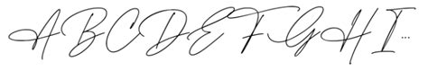 The Wedding Signature Font Script Decorative What Font Is