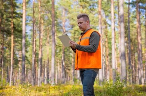 Navigating Tree Management With Confidence The Importance Of Professional Tree Reports