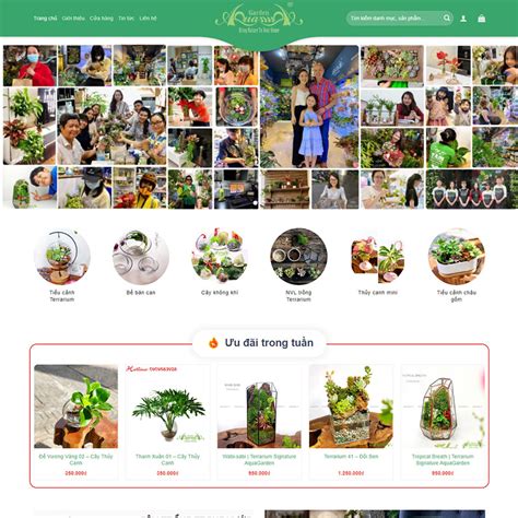 Theme Wordpress Bán Cây Xanh Terrarium Chợ Wordpress Mua Bán Theme Plugin Giá Rẻ