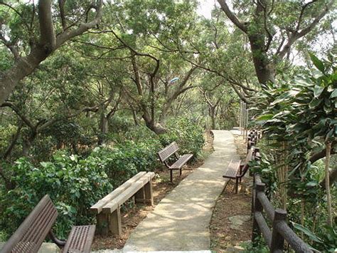 新竹市 十八尖山Tony的自然人文旅記第0455篇