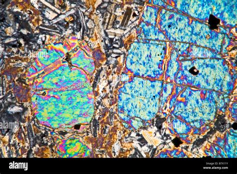 Picrite Photomicrograph Slide Section Viewed By Cross Polarized