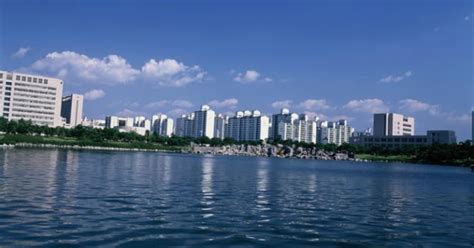 일산 호수공원서 40대女 시신 발견 경찰 신원 확인됐다