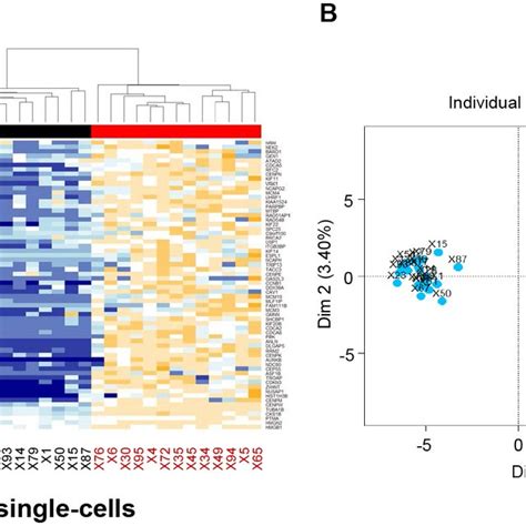 Heat Map Combined With Hierarchical Clustering Analysis Of G64 Download Scientific Diagram