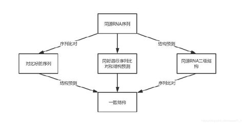 Rna 二级结构预测方法rna二级结构预测 Csdn博客