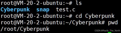 【linux基础一】linux基本指令—上 Csdn博客