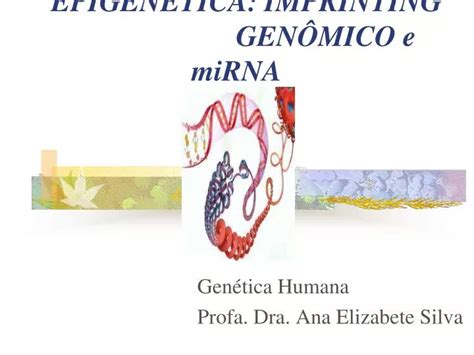 PPT EPIGENÉTICA IMPRINTING GENÔMICO e miRNA PowerPoint Presentation