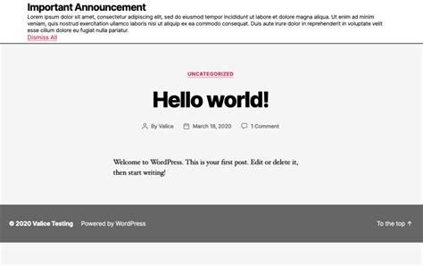 Style Samples And Visual Guide Banner Alerts Wordpress Plugin