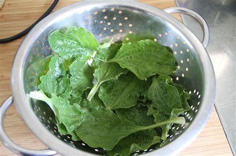 Kopakopa Grounding Nutrients Of Papa