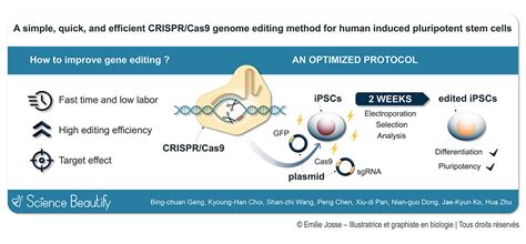 Graphical Abstract Crispr Cas9 Et Ipscs Behance