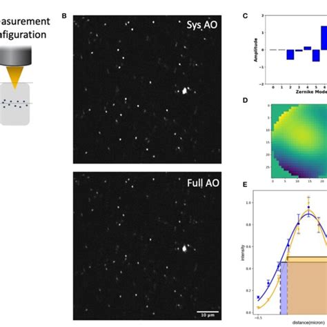 Procedures Of 3d Clem Using Fib Sem Tomography A Shows The Outline Download Scientific