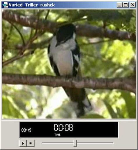 activemovie wikiwand