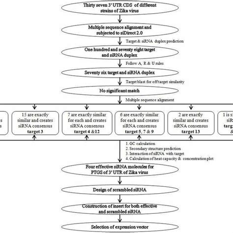 the complete methodology to design and predict effective sirna