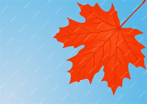 Premium Vector Autumn Red Maple Leaf
