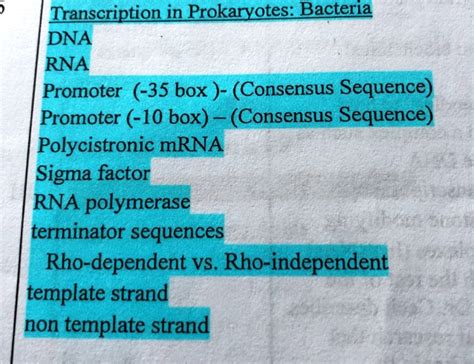 Solved Transcription In Prokaryotes Bacteria Dna Rna Promoter 35 Box Consensus Sequence