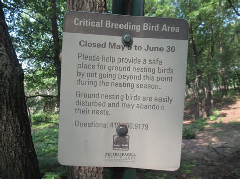 20210731 Oak Openings Preserve Metropark Hiking With Doc