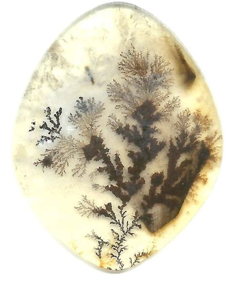 Dendritic Agate Meaning Properties And Powers The Complete Guide