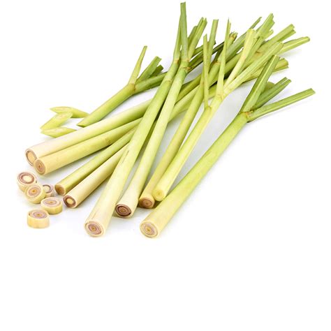 Lemon Grass Png 10 Free Cliparts Download Images On Clipground 2024