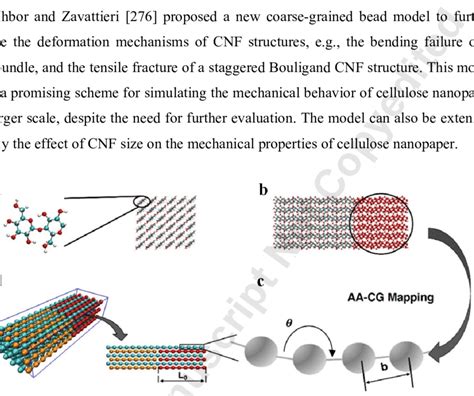 Hierarchical Modeling Of Cellulose Nanopaper A All Atomistic