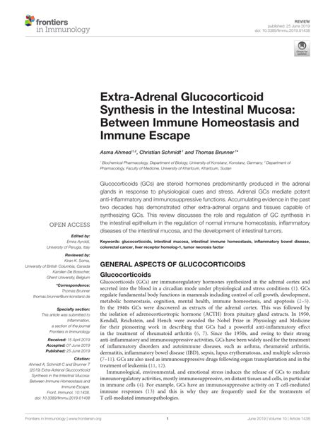 Pdf Extra Adrenal Glucocorticoid Synthesis In The Intestinal Mucosa Between Immune