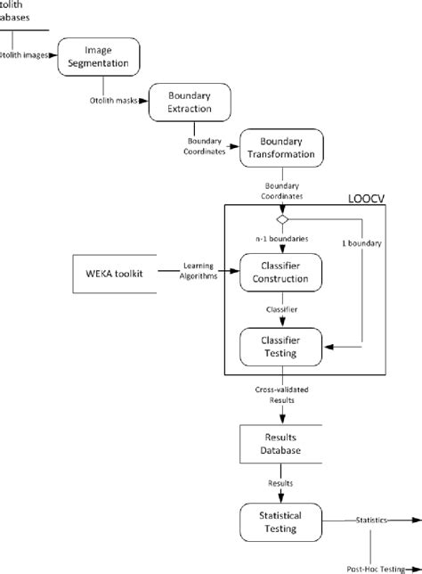 Figure 13 From Morphometric Otolith Analysis Semantic Scholar