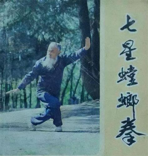少林寺昙宗大师扮演者于海猝逝 家属发讣告 疑因摔了一跤又感染新冠 阿波罗新闻网