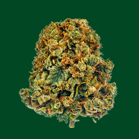 Top Weed Strains June 2024 Green Dragon Dispensaries