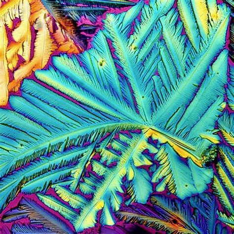 Simon Fraser University On Linkedin Sfu 11 Comments