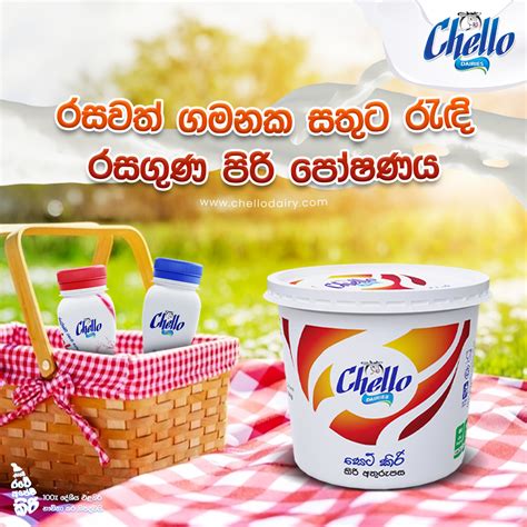 Chello Dairy