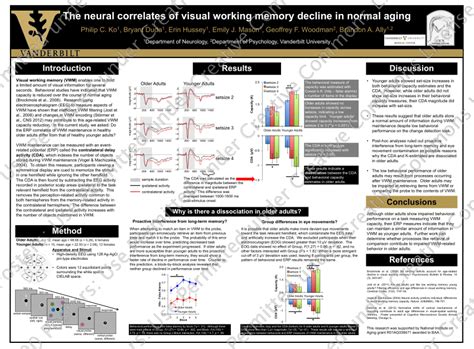 Pdf The Neural Correlates Of Visual Working Memory Decline In Normal