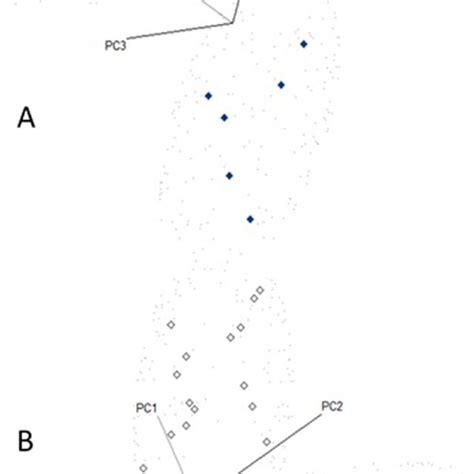 Three Dimensional Representation Of Botanical Classification According Download Scientific