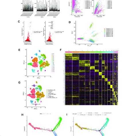 Scrna Seq Data Processing And Analysis A Upon Quality Control And