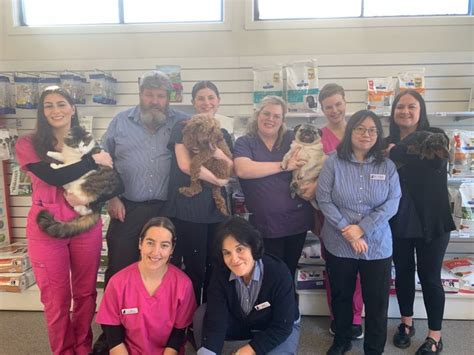 Vets Central On Linkedin Teamvc Teamvc Veterinary Business Growth