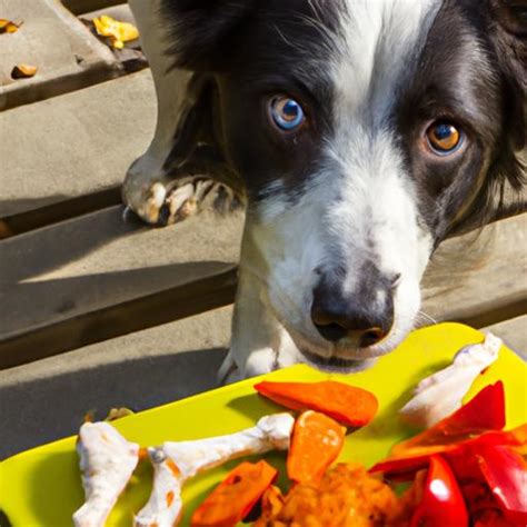 Best Food For Border Collies A Comprehensive Guide