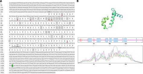 frontiers a novel imprinted gene sp pol with sex specific snp locus