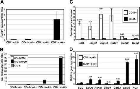 Cd41 C Kit Eb Derived Cells Contain All Hematopoietic Colony Forming Download Scientific