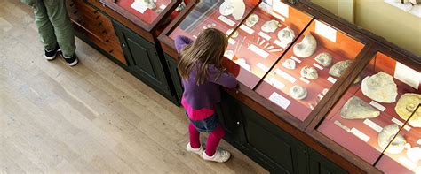 The Human Fossil Record Articles BioLogos